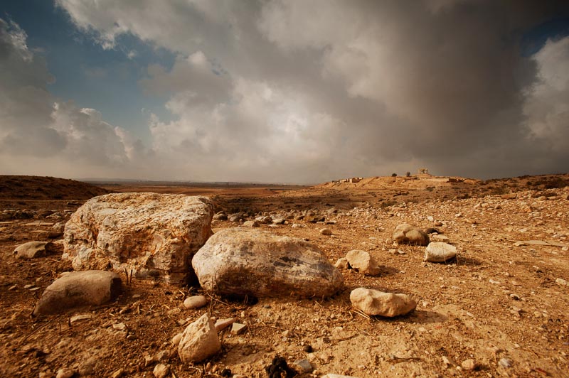 Winners of the Alfred Fried Photography Award 2017 - Category: Michael ...