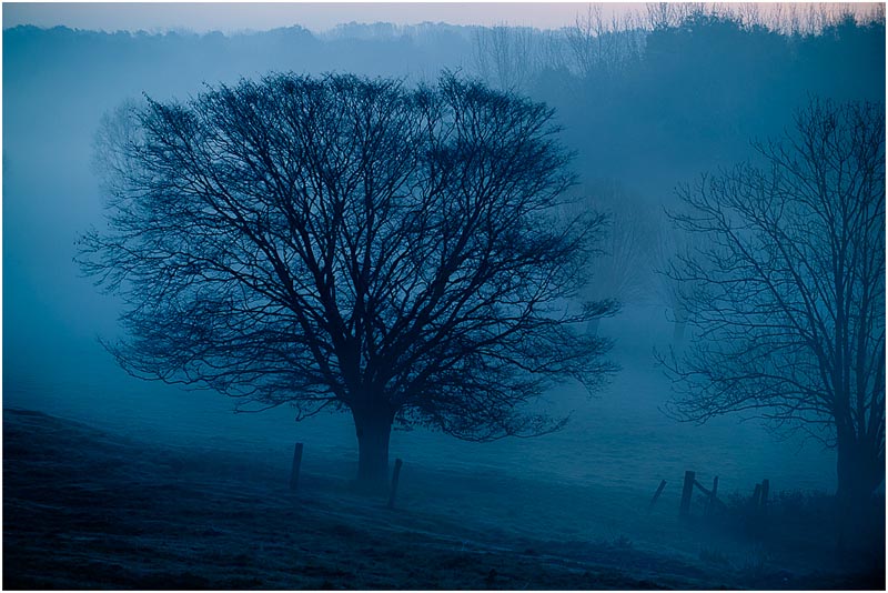 Winners of the Alfred Fried Photography Award 2017 - Category: Michael ...