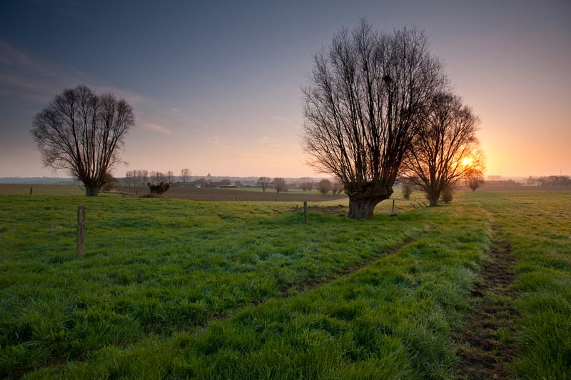 Winners of the Alfred Fried Photography Award 2017 - Category: Michael ...