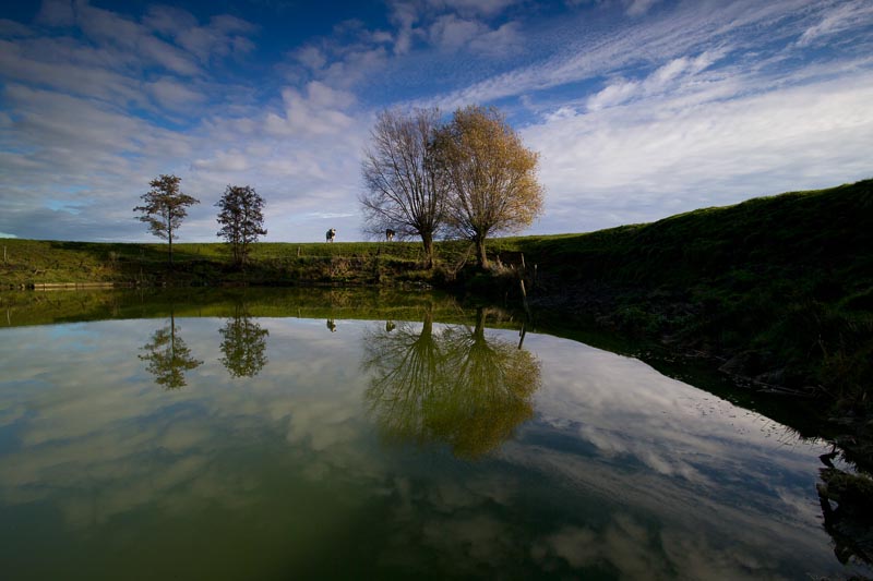 Winners of the Alfred Fried Photography Award 2017 - Category: Michael ...