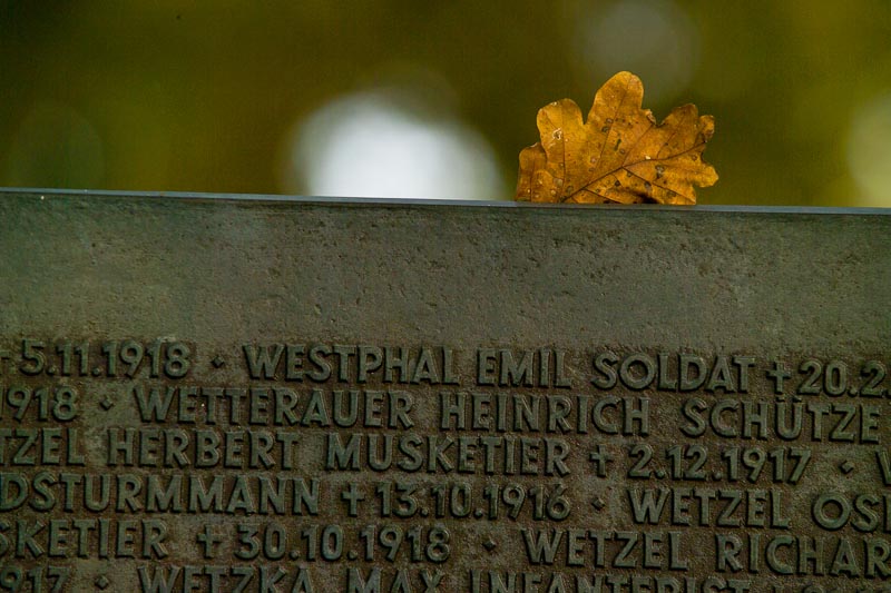 Winners of the Alfred Fried Photography Award 2017 - Category: Michael ...