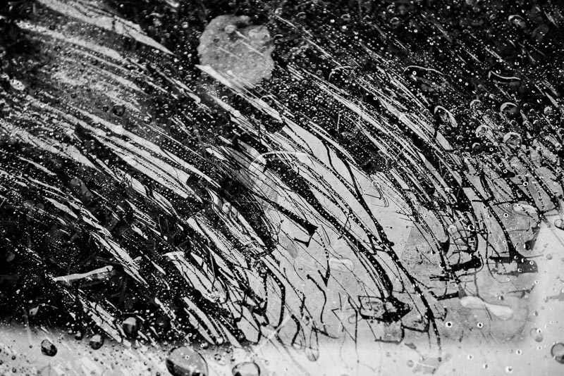 Winners of the Alfred Fried Photography Award 2017 - Category: Cletus ...
