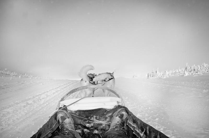Winners of the Alfred Fried Photography Award 2017 - Category: Cletus ...