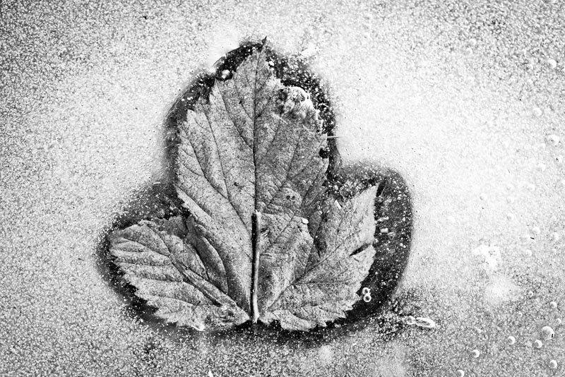 Winners of the Alfred Fried Photography Award 2017 - Category: Cletus ...
