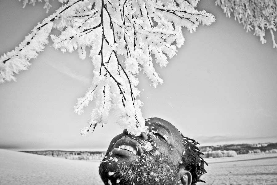 Winners of the Alfred Fried Photography Award 2017 - Category: The ...